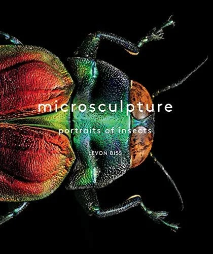 Macro Micro Insects Arthropods Insect Science Major And Minor