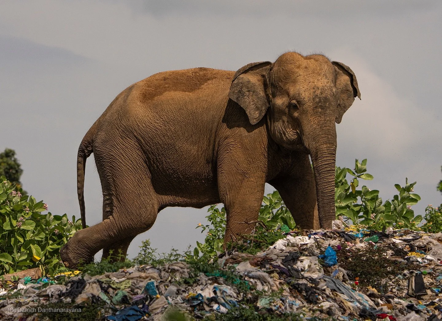 How to upload photos for Facebook with their best quality? — Damith ...