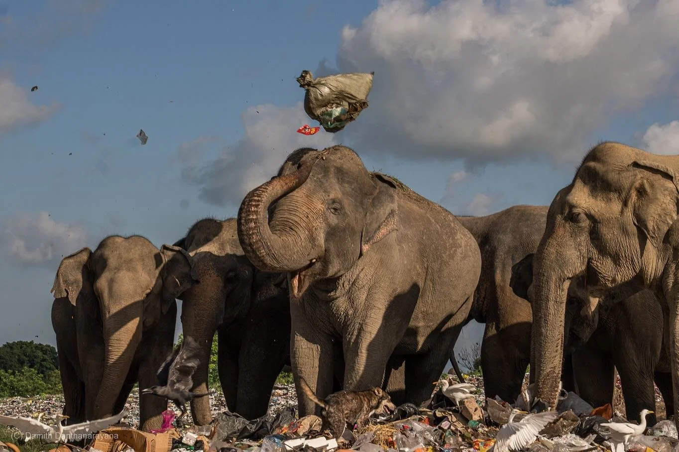 How to upload photos for Facebook with their best quality? — Damith ...