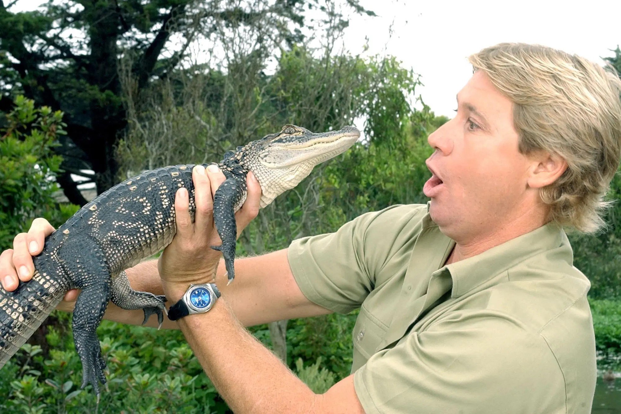 Steve Irwin's Legacy: From The Crocodile Hunter to Wildlife Warriors ...