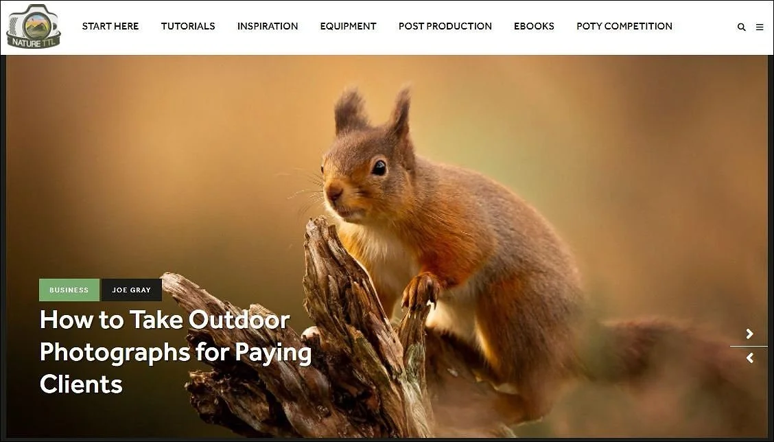 20 Top Nature, Wildlife & Macro Photography Sites for Every Skill Level ...