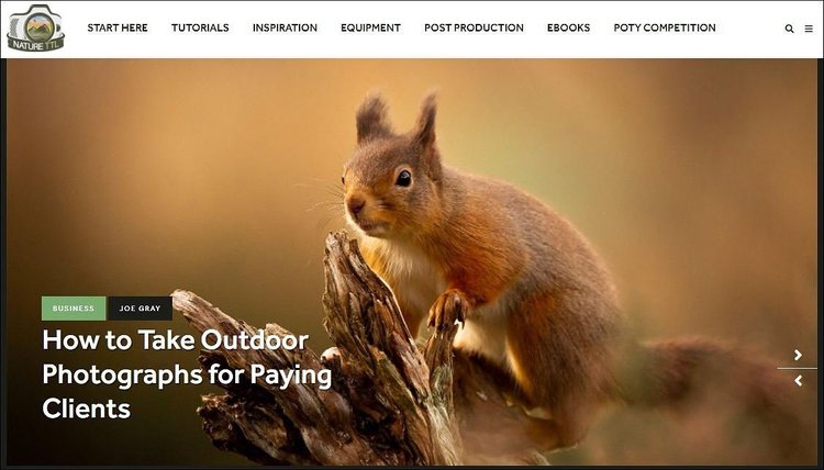 20 Top Nature, Wildlife & Macro Photography Sites for Every Skill Level ...