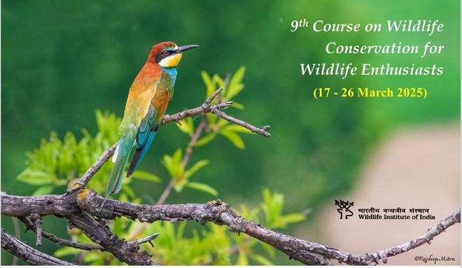 Wildlife Institute of India: Pioneering Biodiversity Conservation ...