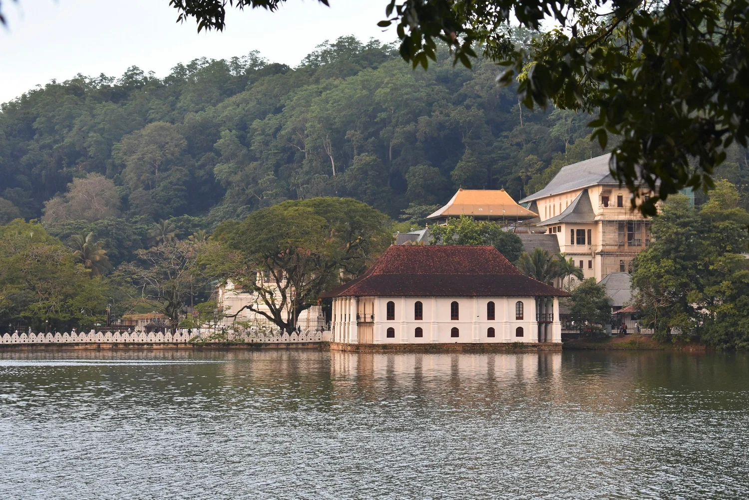 Top 20 Travel Places to Visit in Kandy, Sri Lanka in 2025 — Damith ...