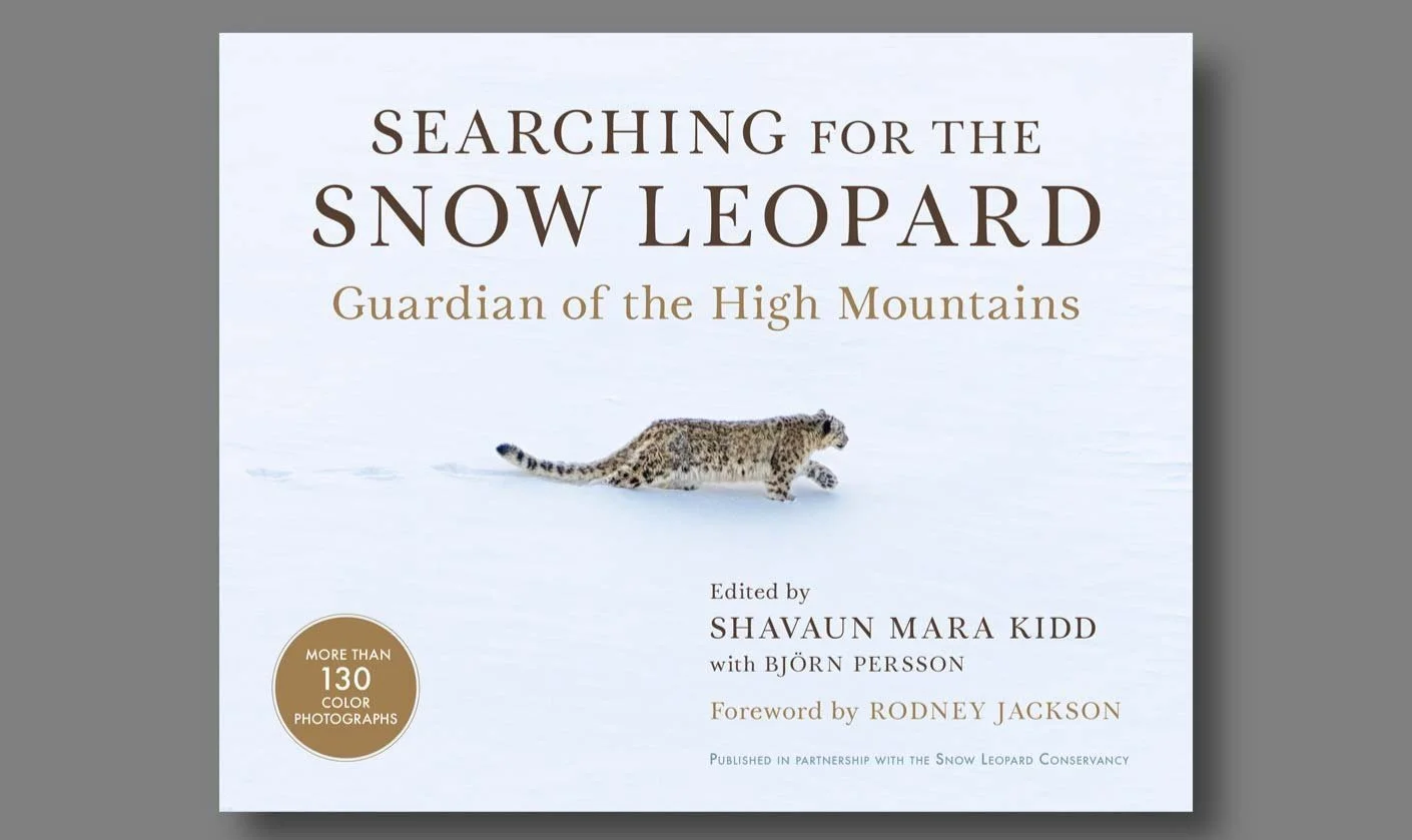 Searching for the Snow Leopard: Guardian of the High Mountains — Damith ...