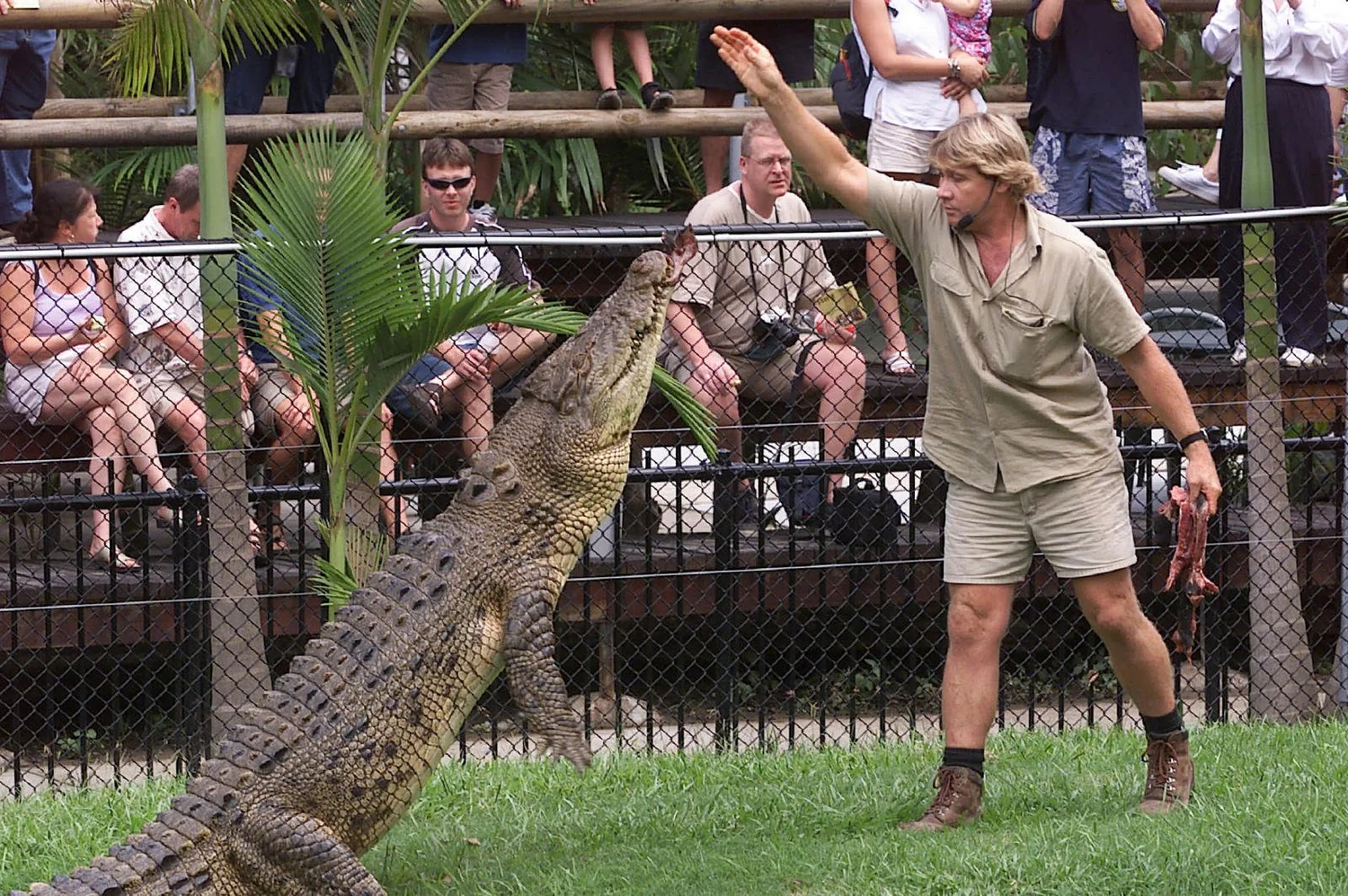 Steve Irwin's Legacy: From The Crocodile Hunter to Wildlife Warriors ...