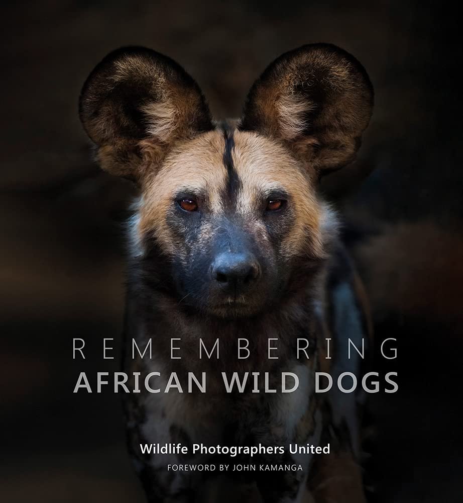 Unleash the Leopard's Soul: Stunning Photography & Conservation Mission ...