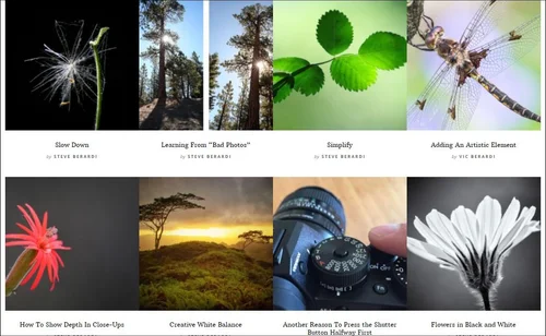 20 Top Nature, Wildlife & Macro Photography Sites for Every Skill Level ...