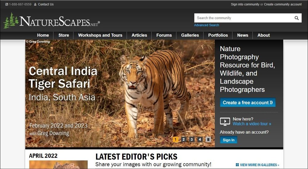 20 Top Nature, Wildlife & Macro Photography Sites for Every Skill Level ...