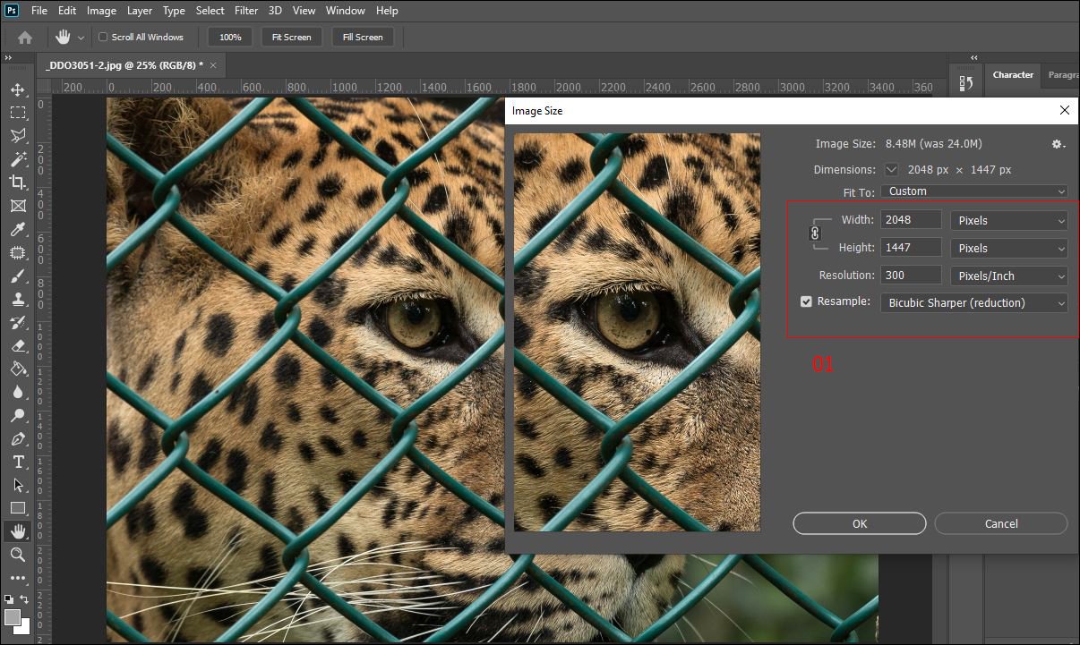 Maximize Your Photo Quality on Facebook: A Comprehensive Guide for ...