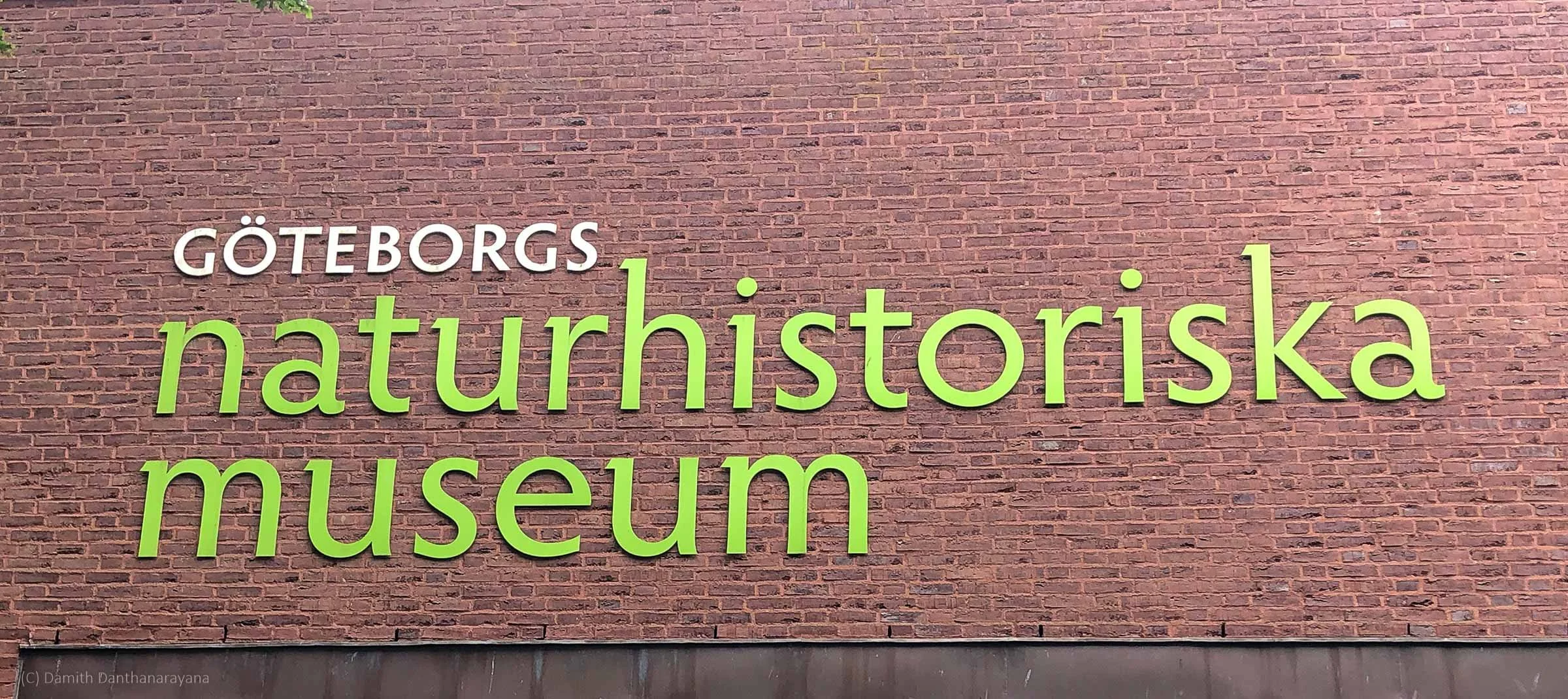 My Visit to the Gothenburg Museum of Natural History in Sweden — Damith ...