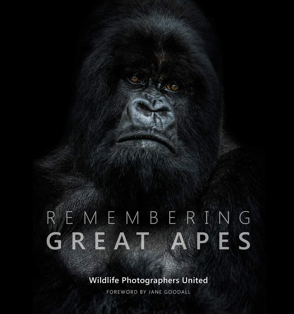 Unleash the Leopard's Soul: Stunning Photography & Conservation Mission ...