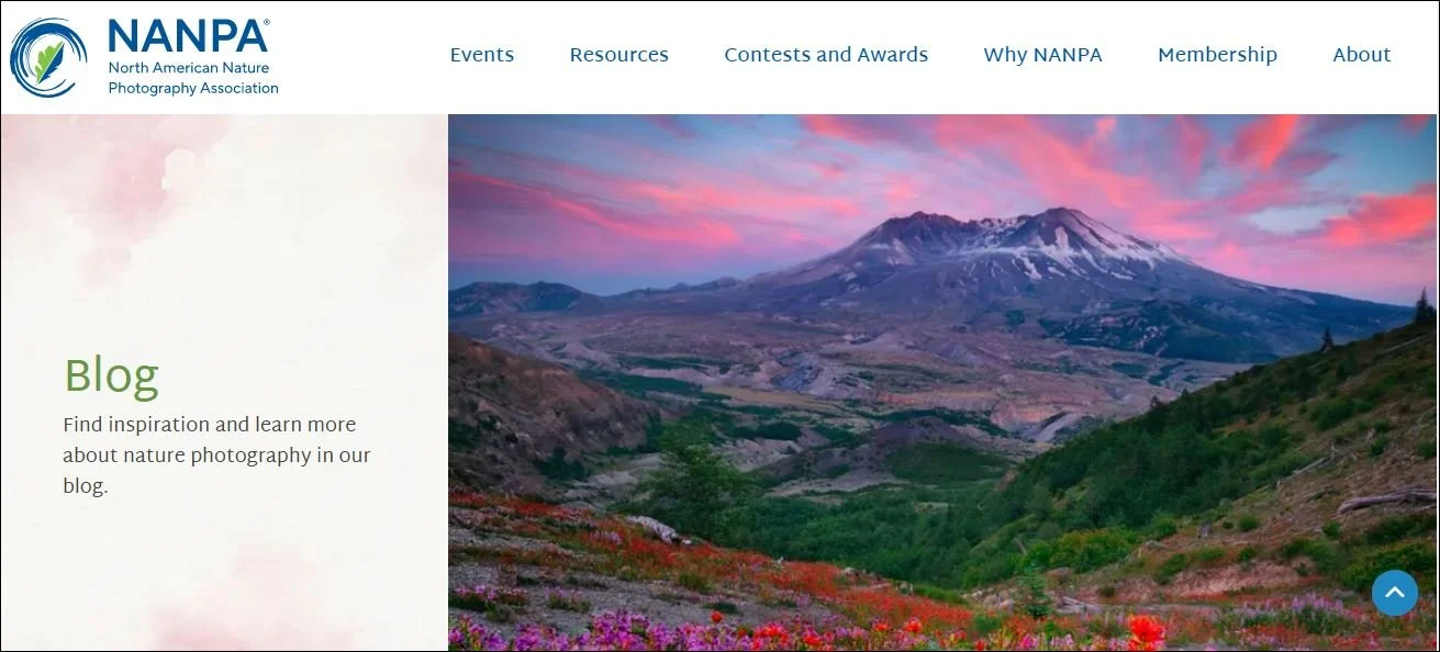 20 Top Nature, Wildlife & Macro Photography Sites for Every Skill Level ...