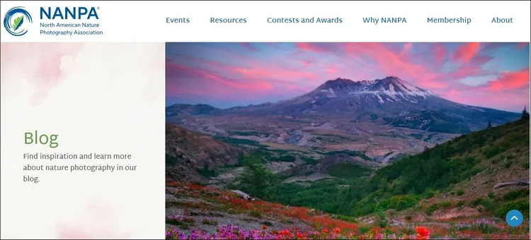 20 Top Nature, Wildlife & Macro Photography Sites for Every Skill Level ...