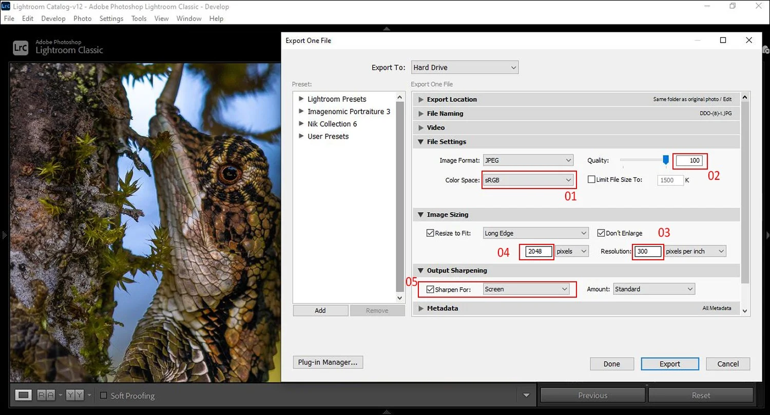 Maximize Your Photo Quality on Facebook: A Comprehensive Guide for ...