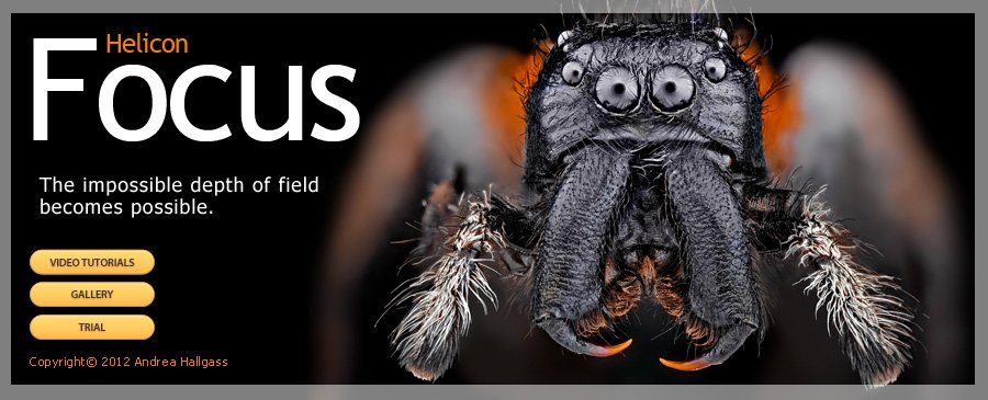 Focus Stacking using Helicon Focus. — Damith Danthanarayana