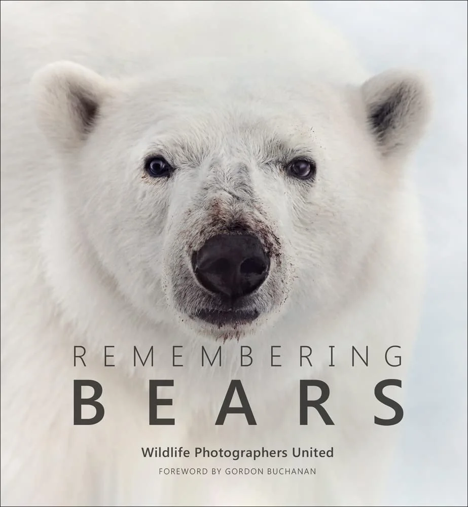 Unleash the Leopard's Soul: Stunning Photography & Conservation Mission ...