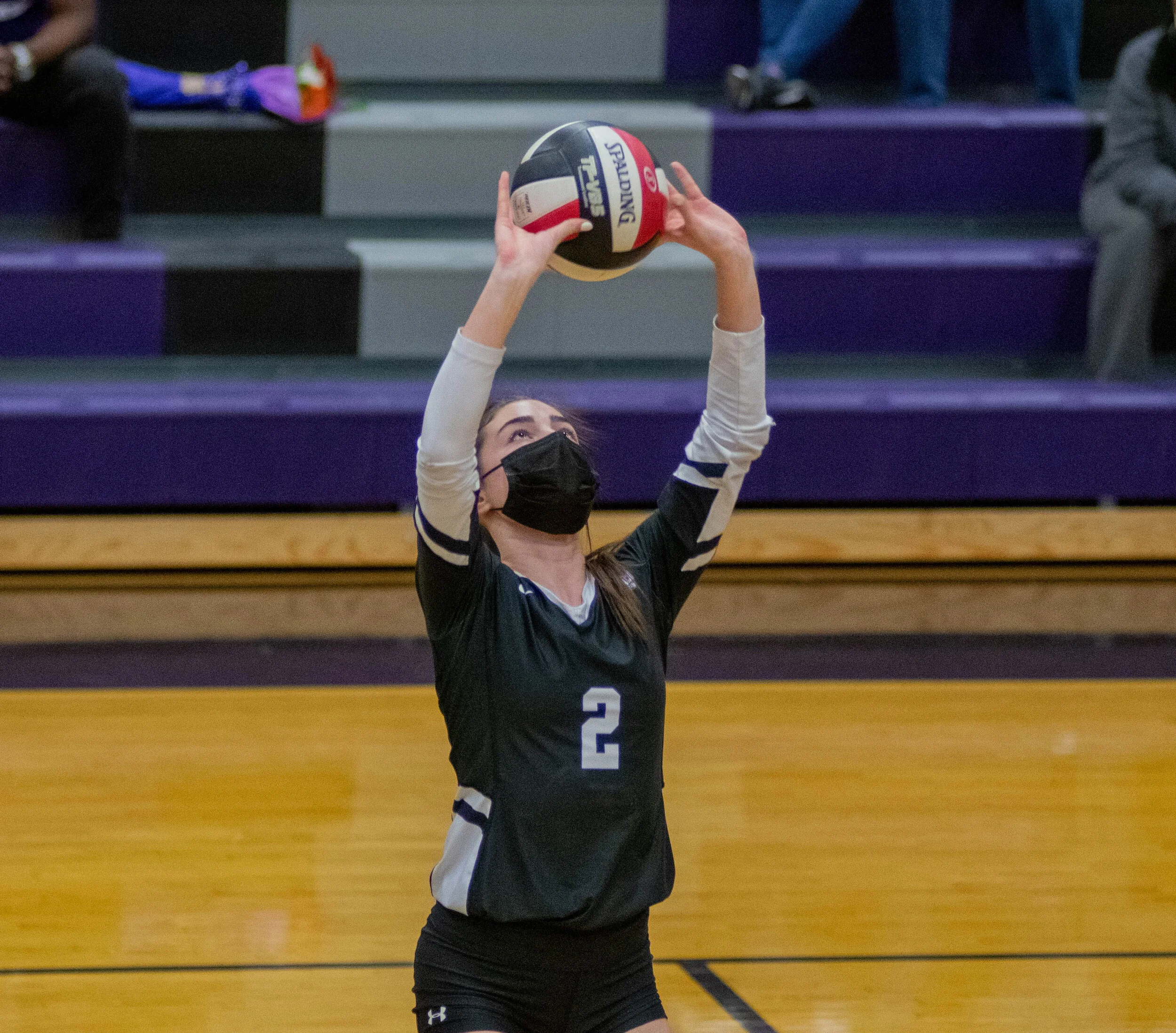 Madeleine Phillips Photography