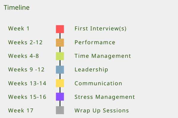 Entrepreneur Coaching (Fast Track Leadership Training) — BE GOOD • FEEL ...