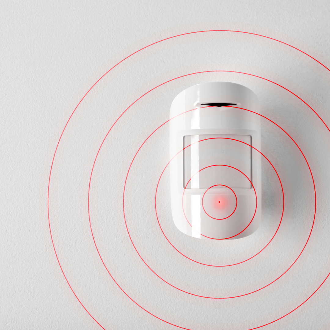 Products — Borges Security Systems, Inc.