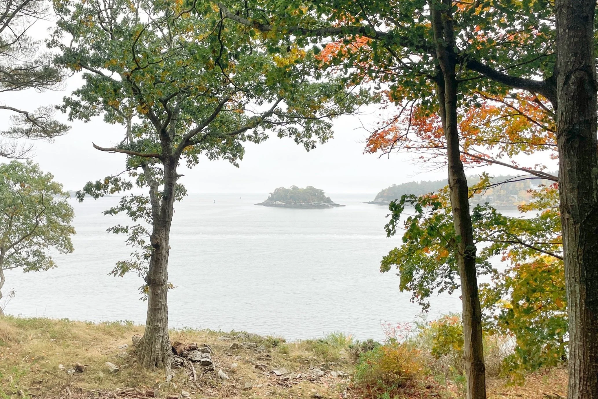 Spectre House — Jessie Carroll Architect