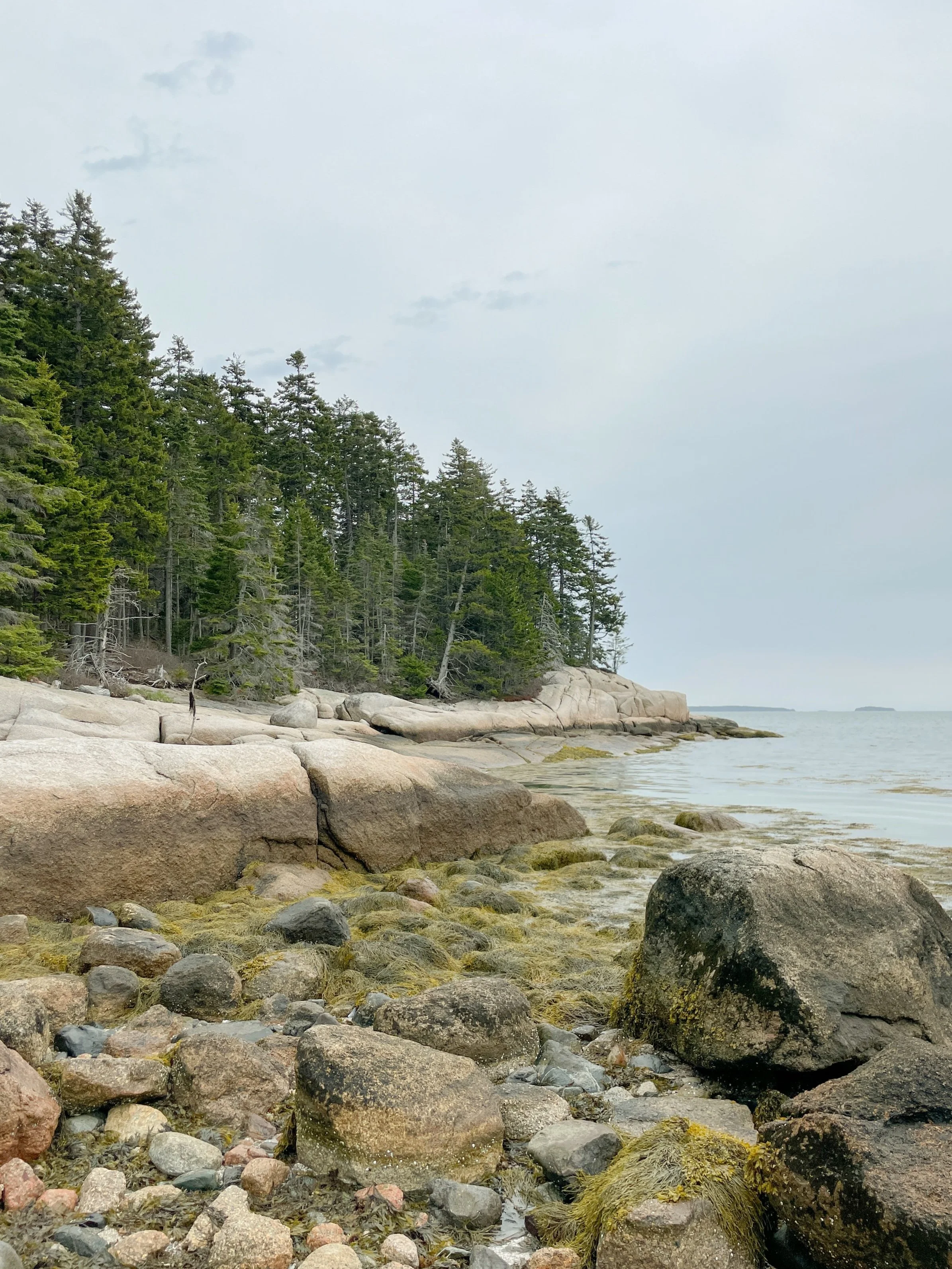 Maine Architect | Jessie Carroll Architect