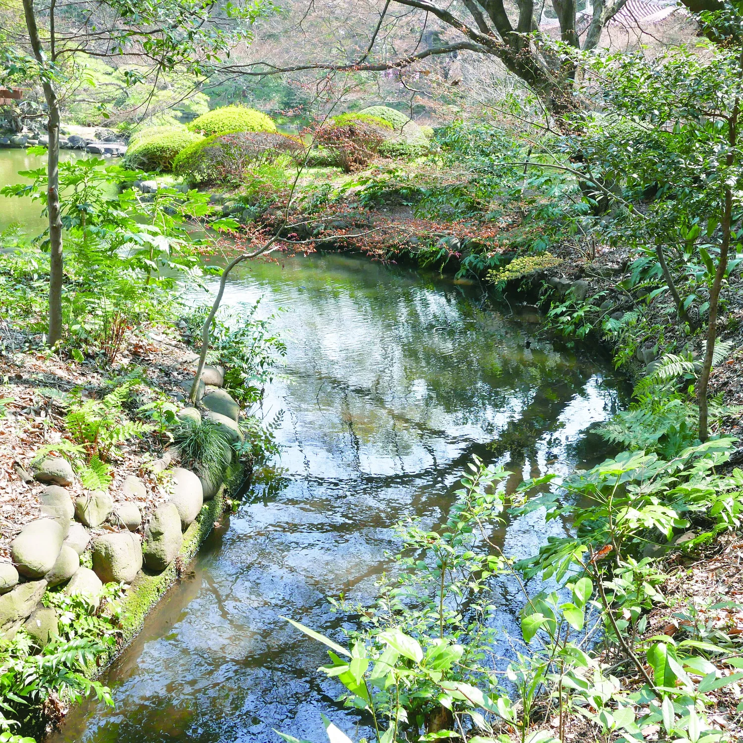 Organised scenery — Loh Xiang Yun