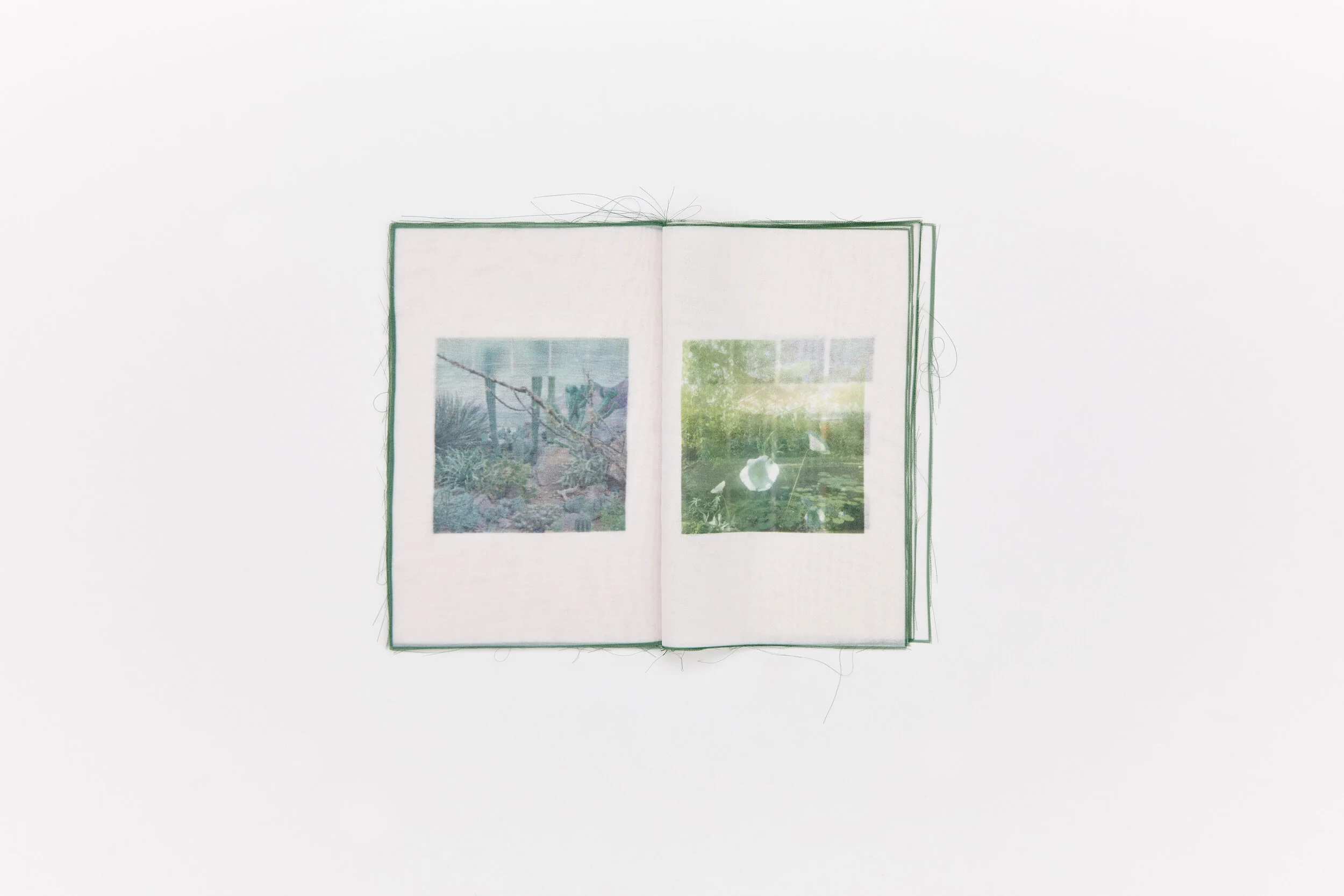 Organised scenery — Loh Xiang Yun