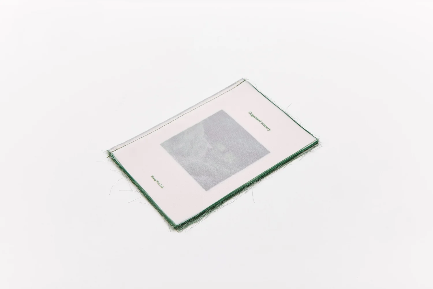 Organised scenery — Loh Xiang Yun