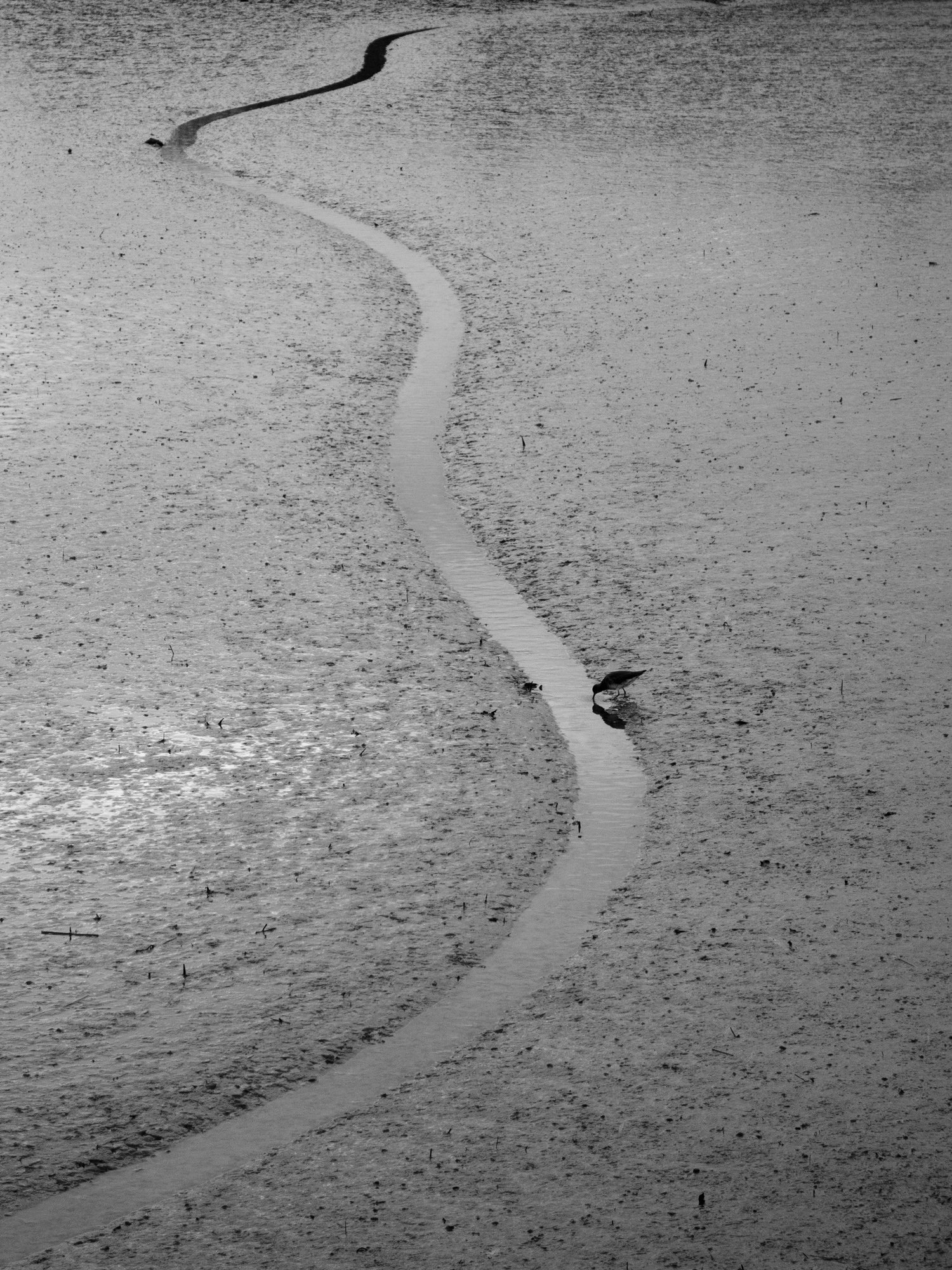 Sony RX100 Mark I review: Worth it in 2025? — Edward Munn Photography