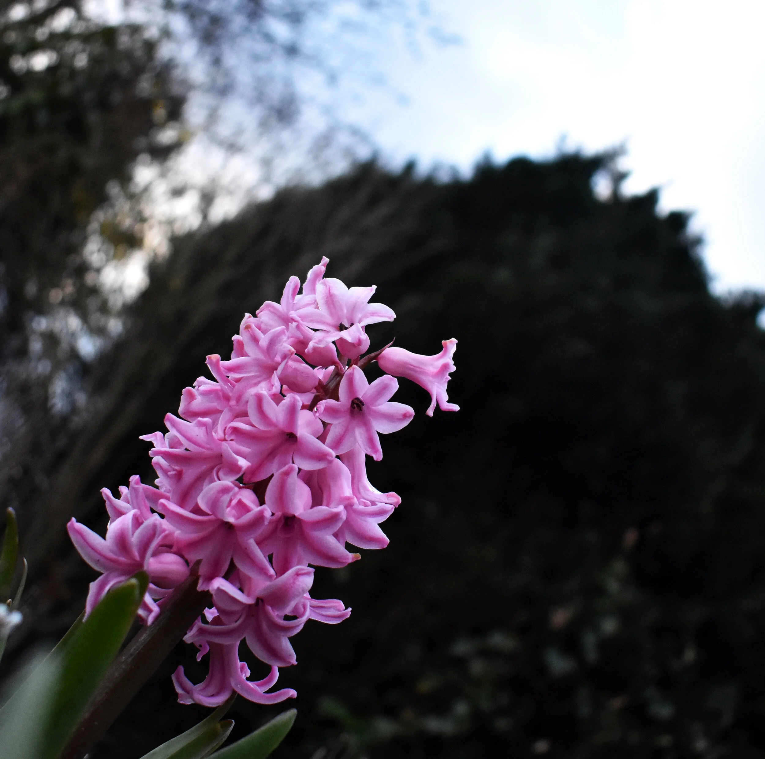 Challenging Composition — Josh Bunting Photography