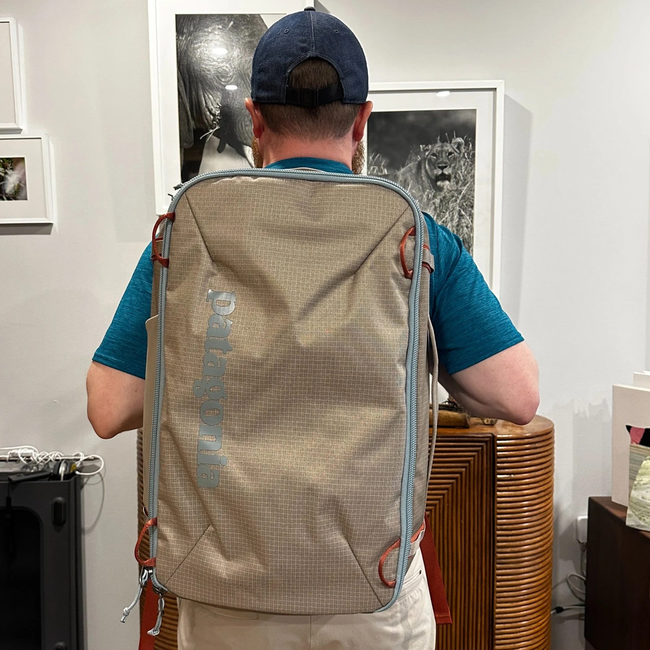 Patagonia Black Hole Mini MLC Review — Always Wander