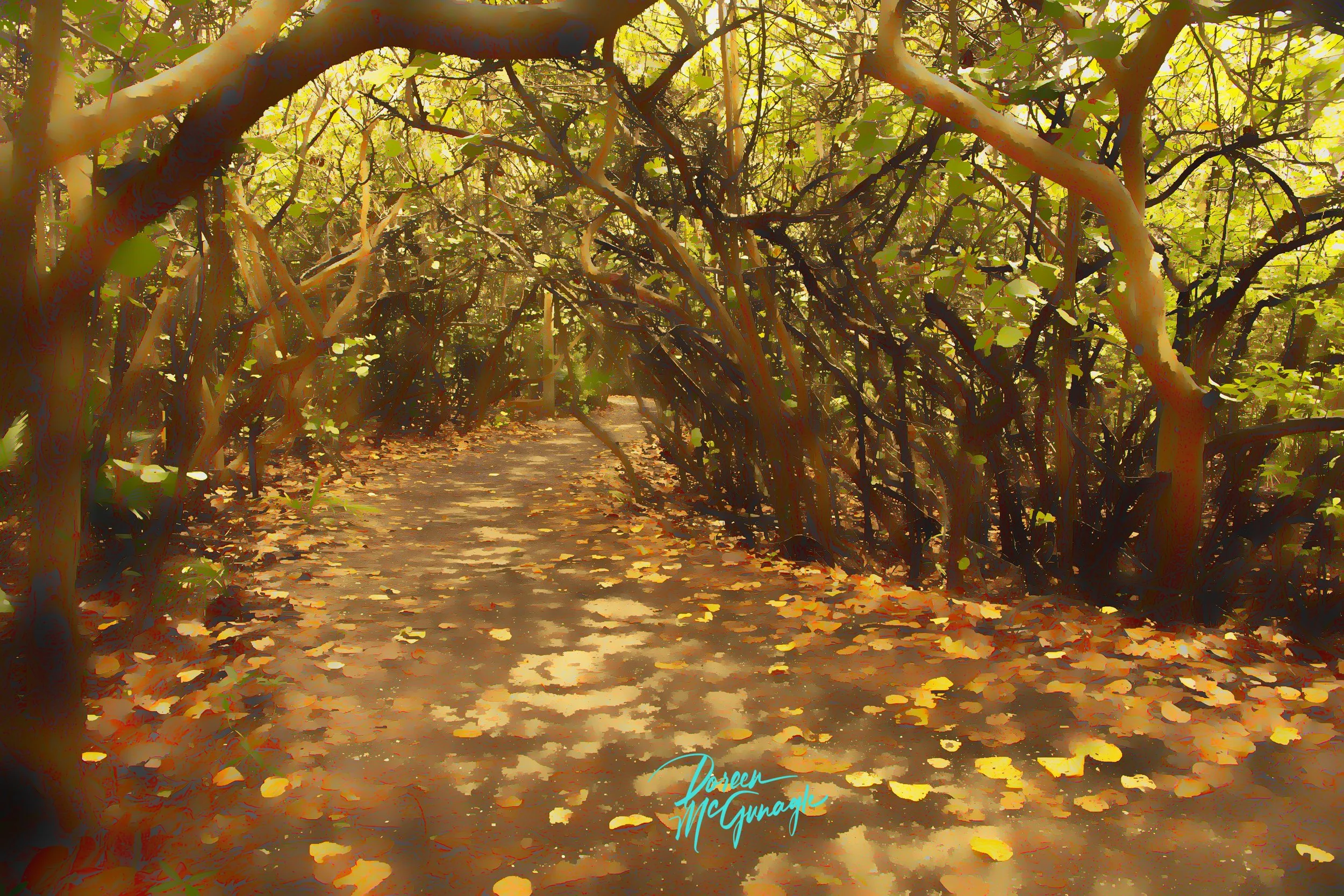 Fine Art Nature Photography prints for sale