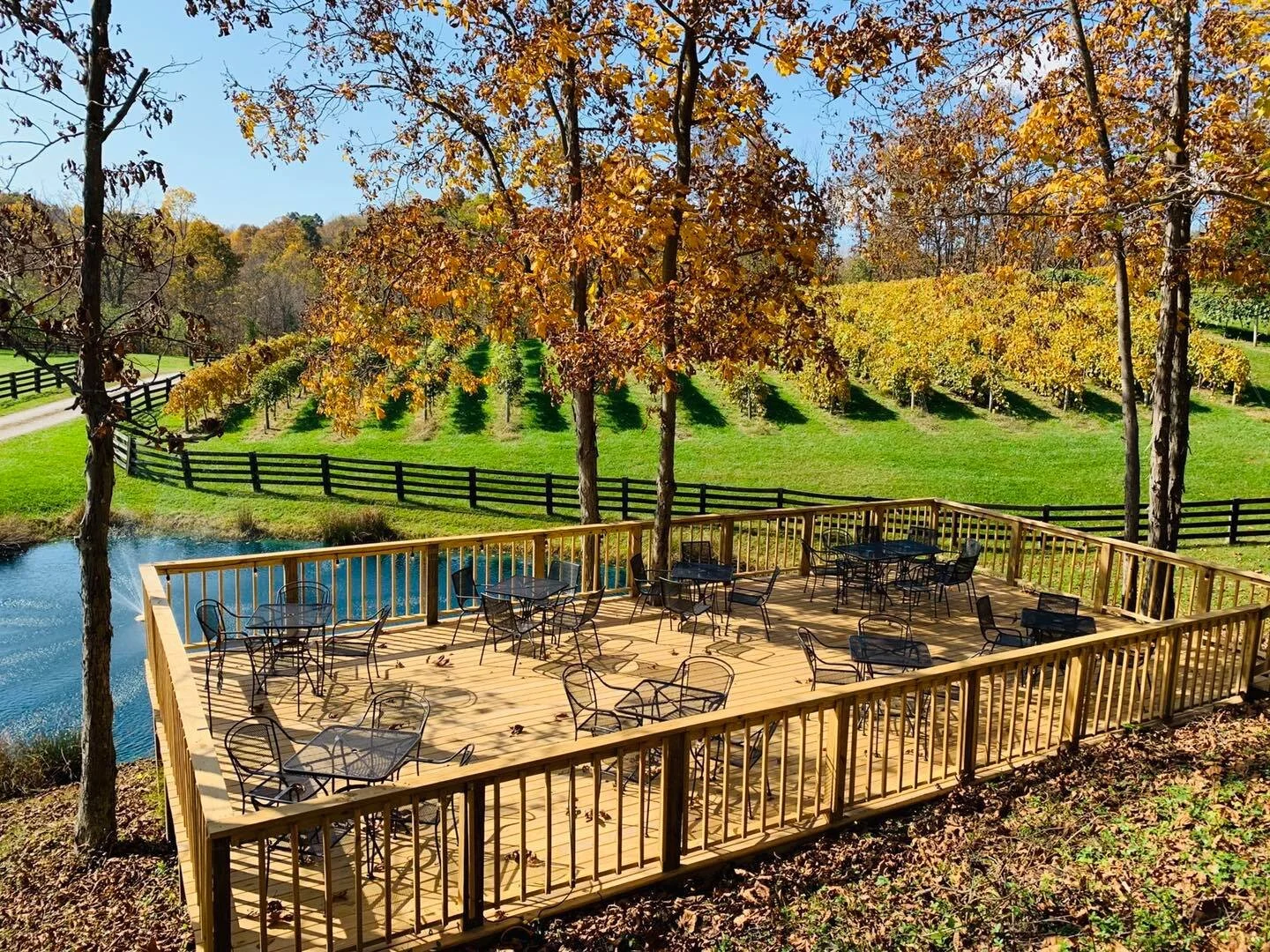 Twisted Vine Family Vineyard