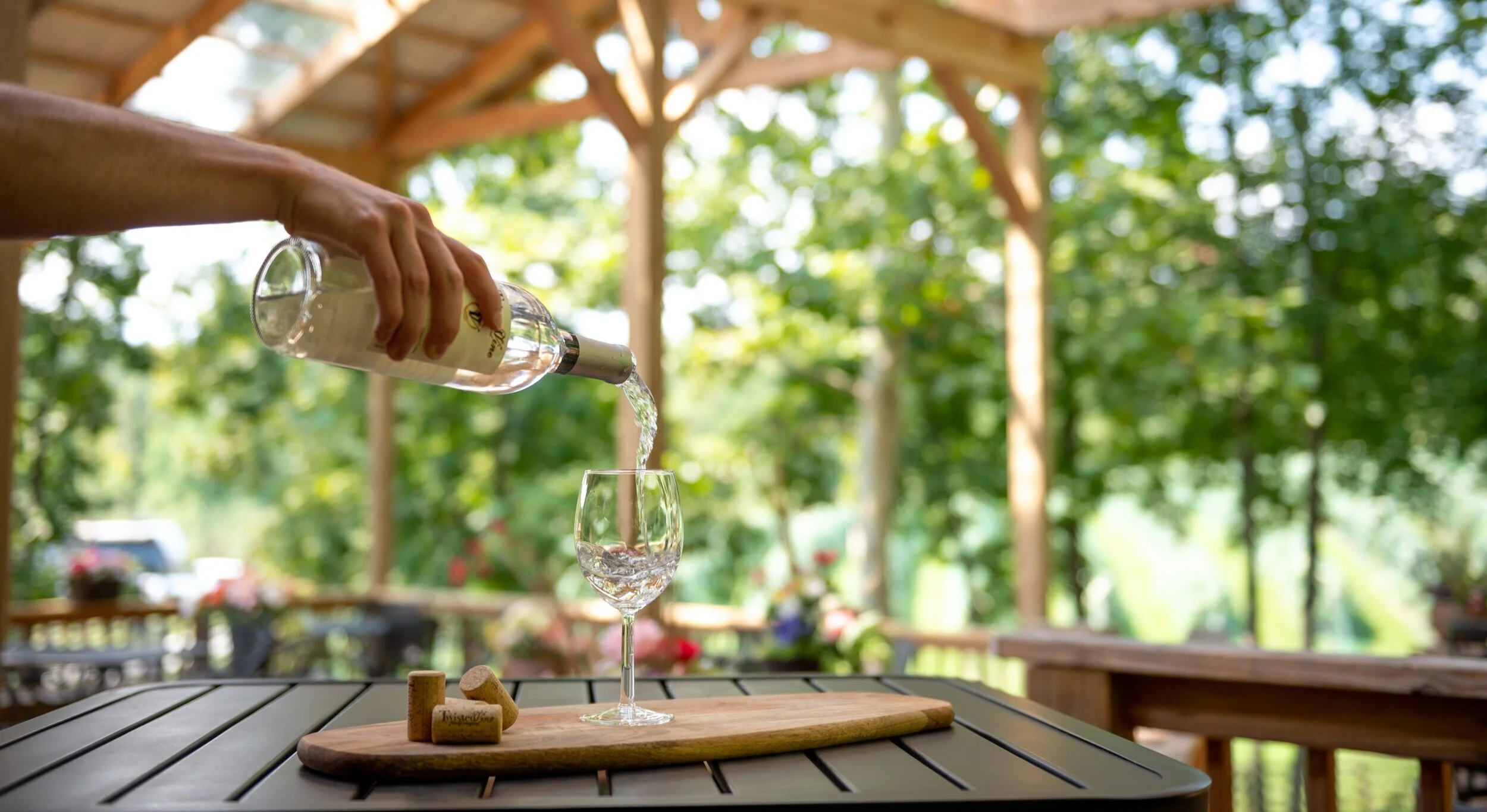 Twisted Vine Family Vineyard