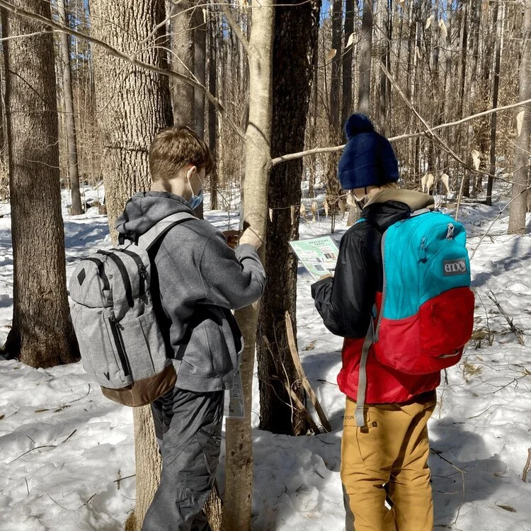 What Is Expeditionary Learning Expeditionary School At Black River what-is-expeditionary-learning-expeditionary-school-at-black-river