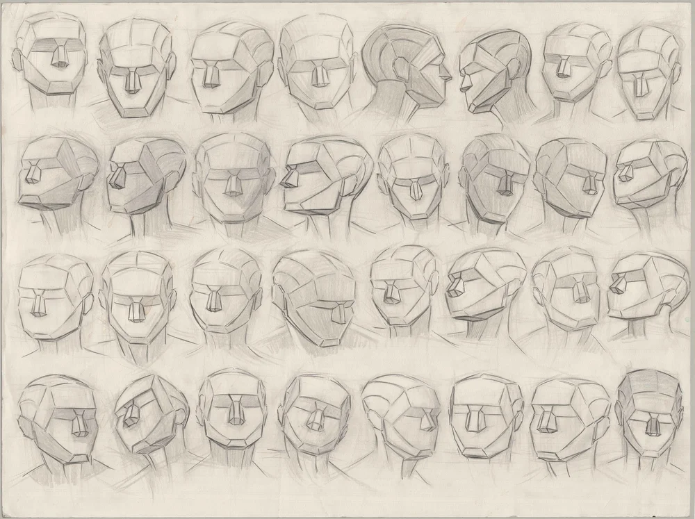 3D models of the head — Drawcademy.