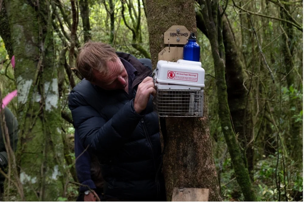 A visit from Banks Peninsula — Predator Free Dunedin