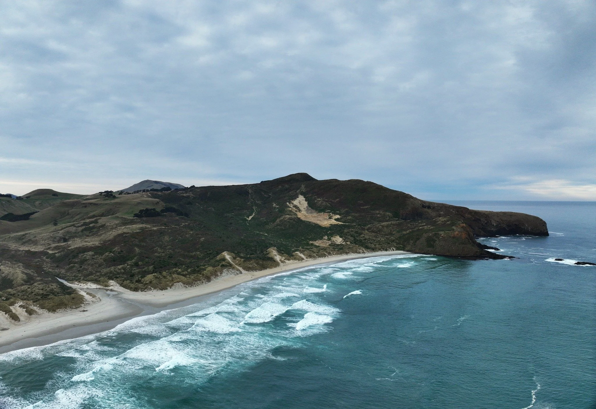The Story of Sandymount — Predator Free Dunedin