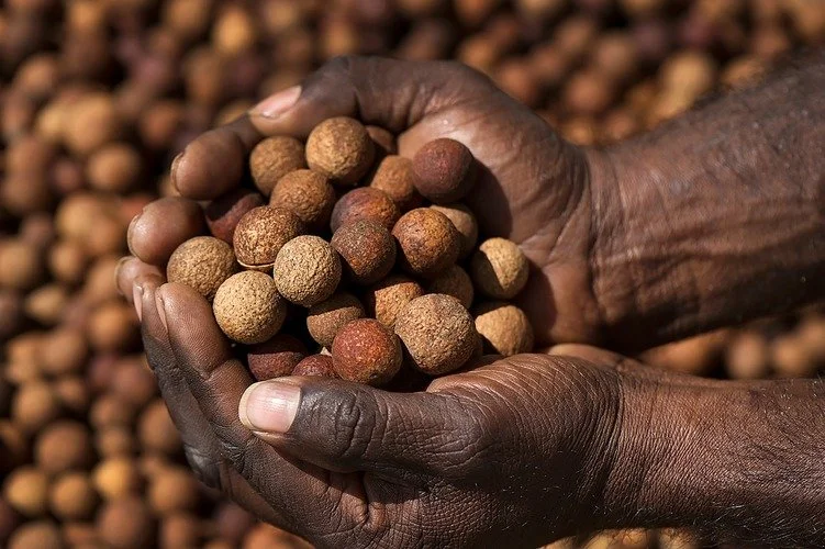 Dutjahn Sandalwood Oils achieves UEBT verification for Responsibly ...