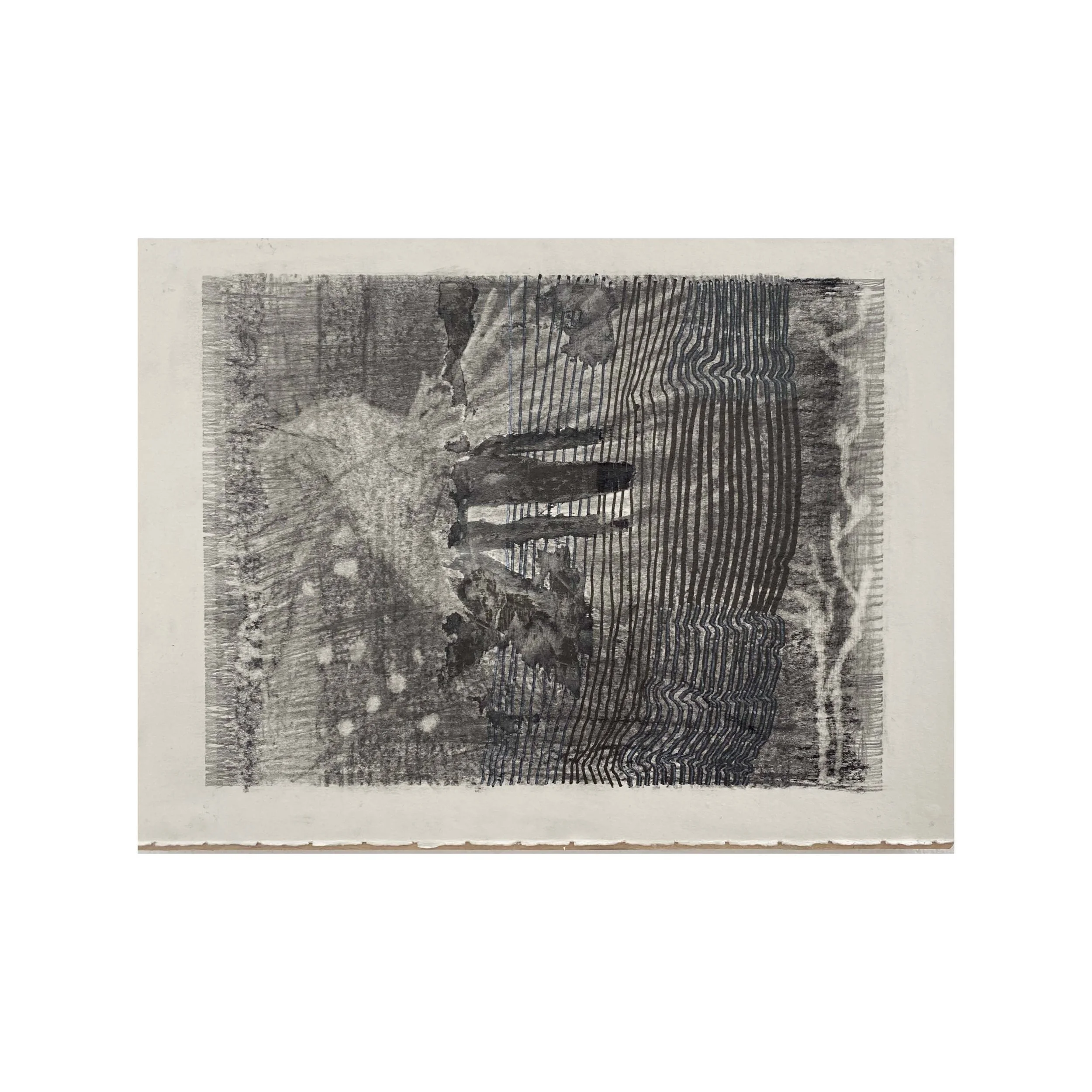 Frances Ryan Artist