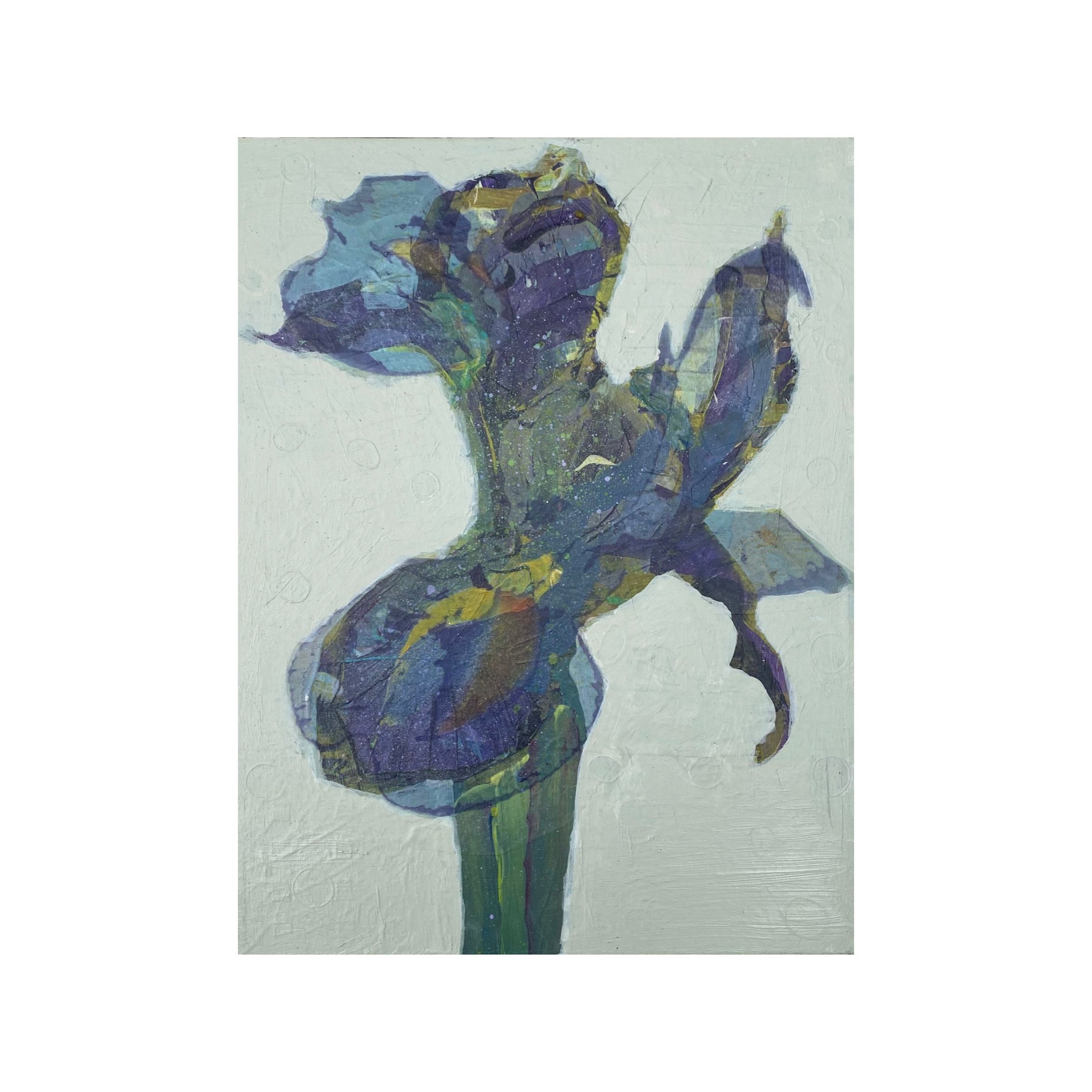 Frances Ryan - Artist