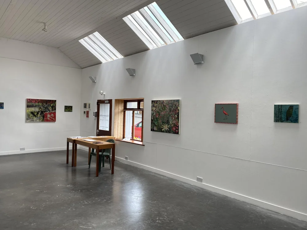 Frances Ryan Artist