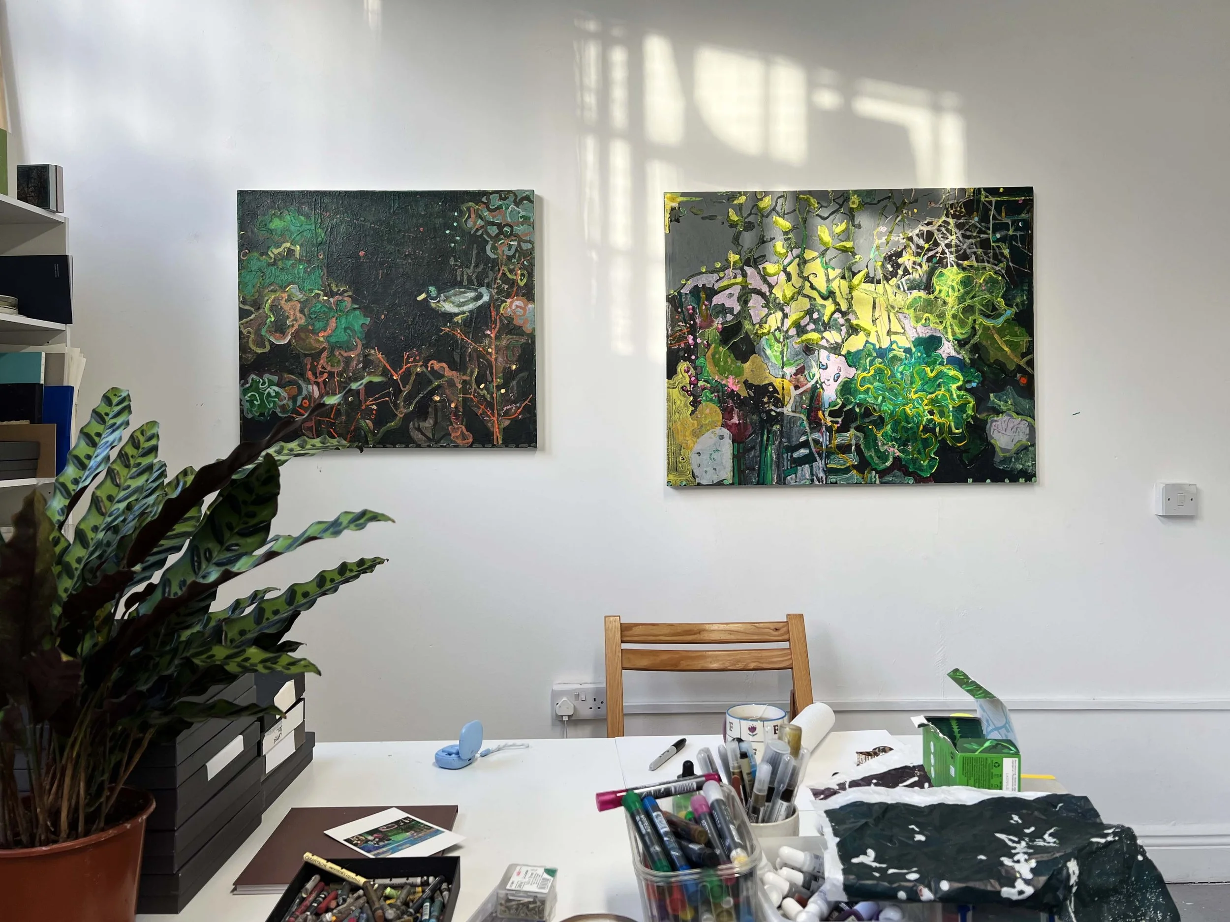 Frances Ryan - Artist - Dublin, Ireland