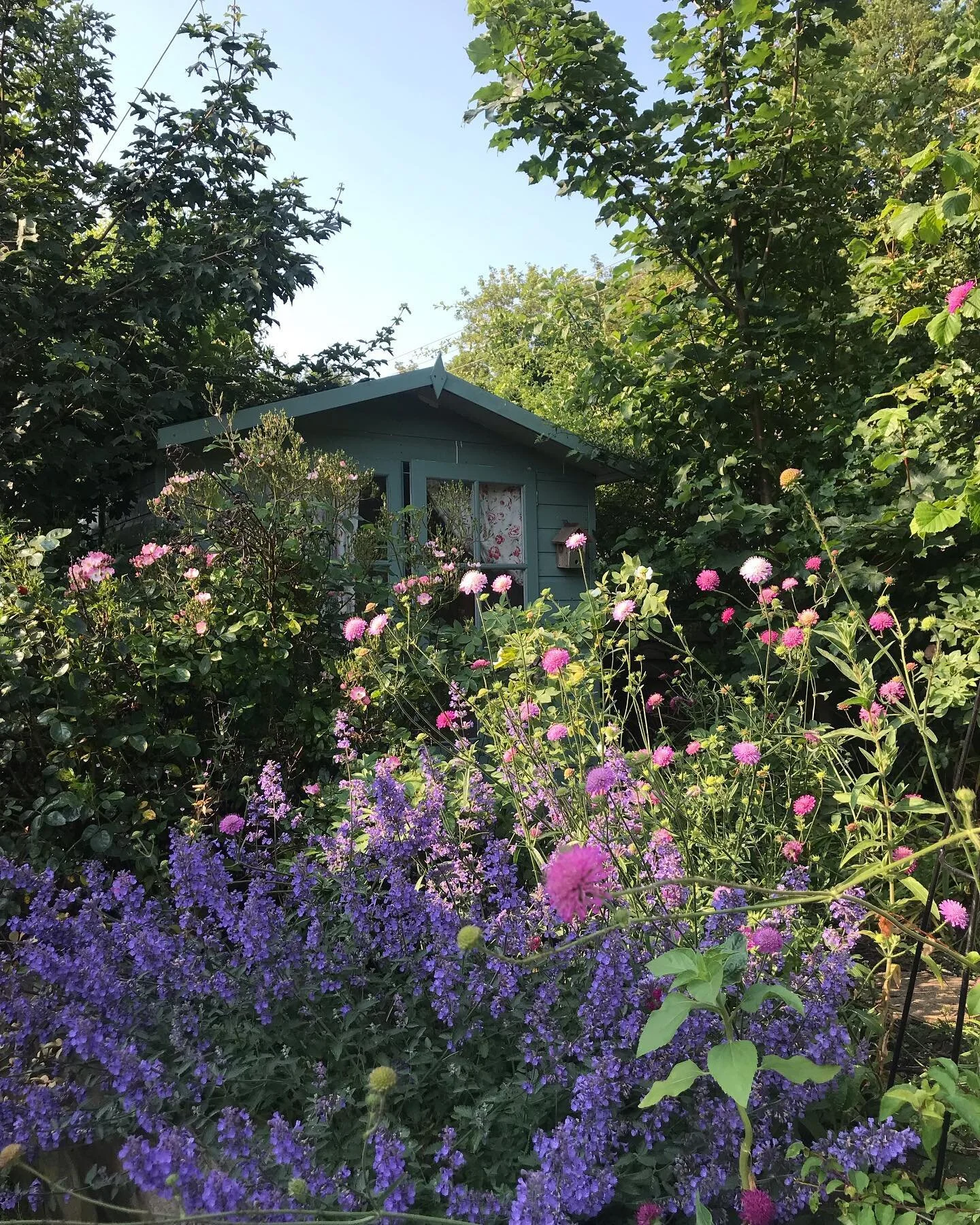 About — Victoria Harrison