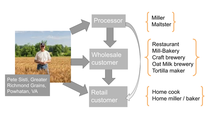 Growing Grain — Common Grain Alliance