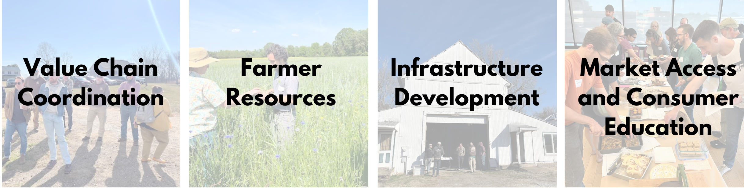 Our Projects — Common Grain Alliance