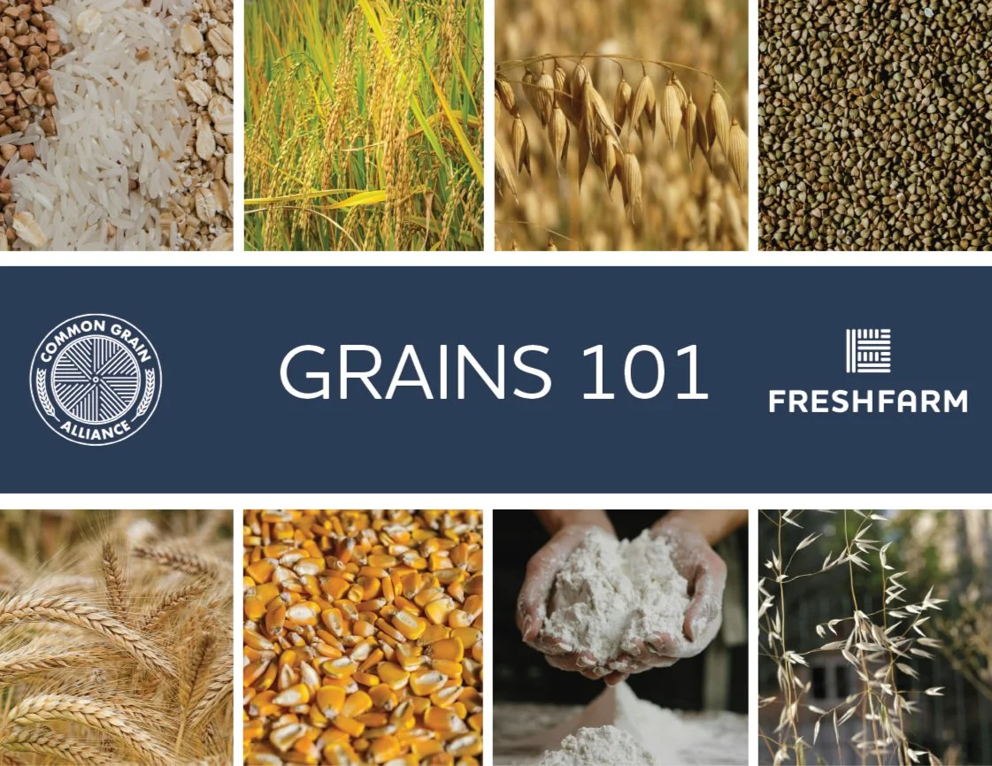 Grains 101 — Common Grain Alliance