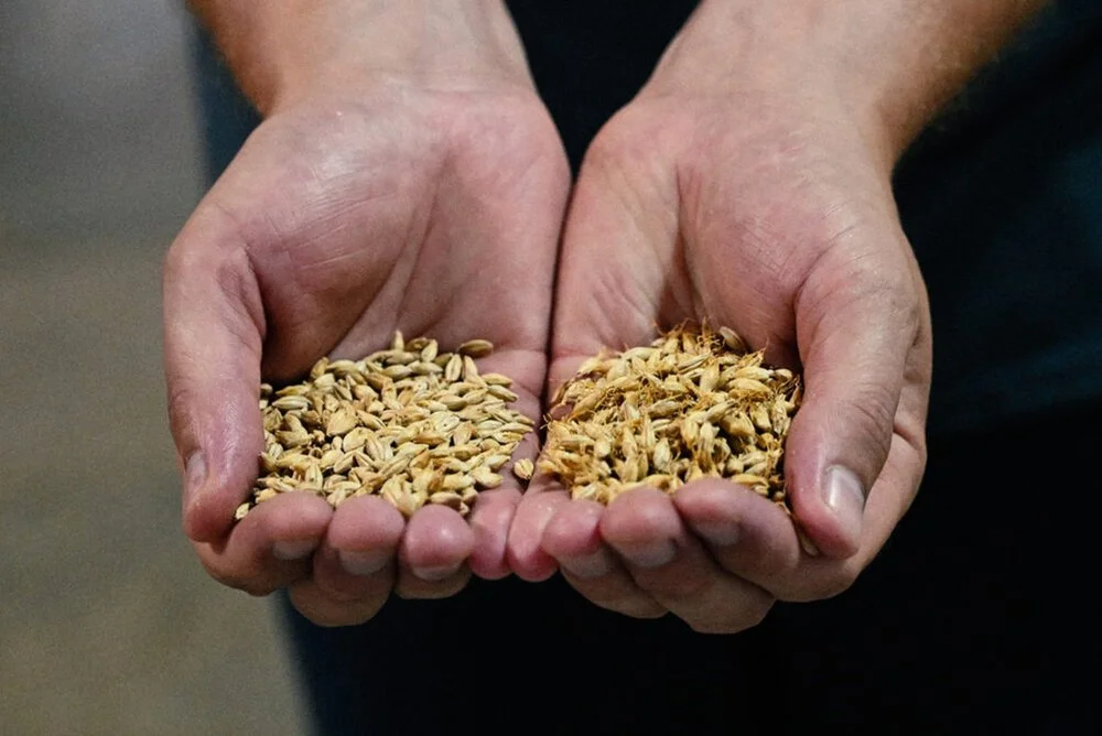 Growing Grain Handbook — Common Grain Alliance