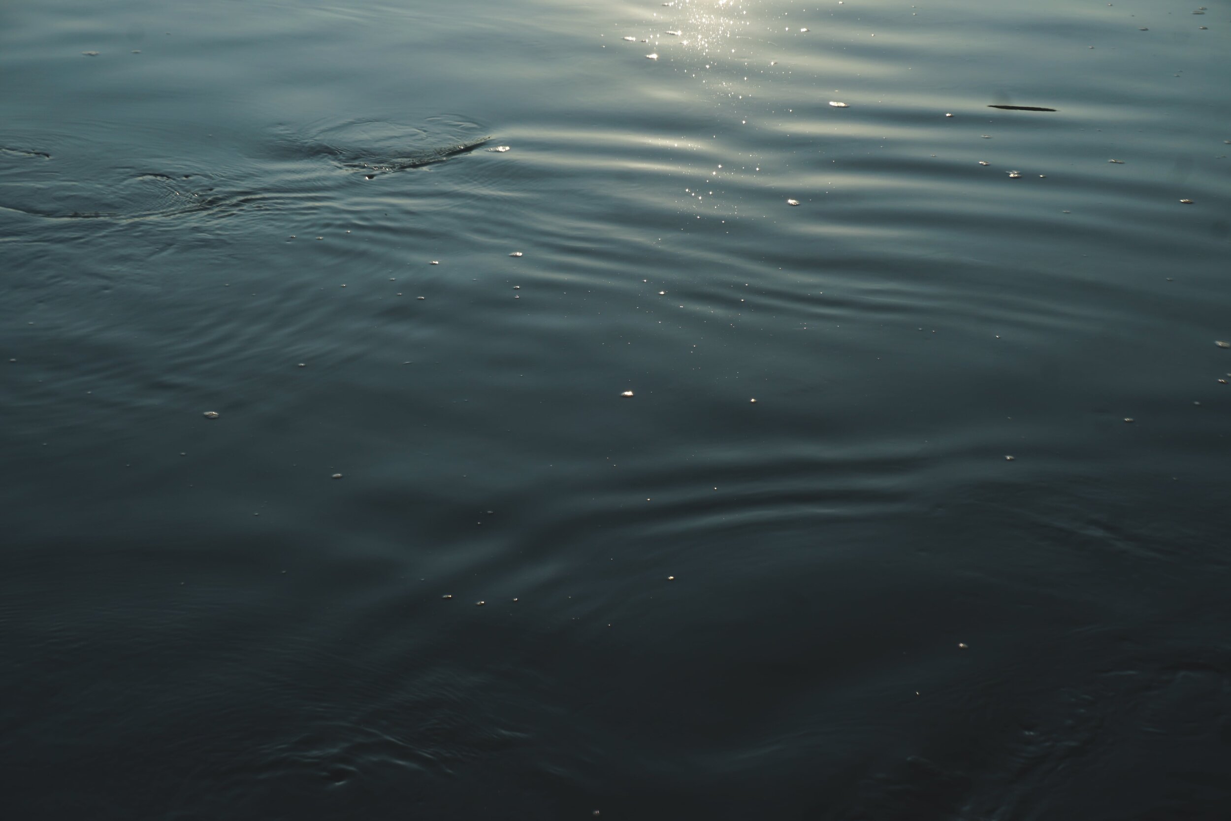 Batteau River Tour (Boat Tour on the James River) — James River Batteau ...